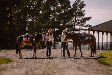 Compass Performance Horses Compass Performance Horses