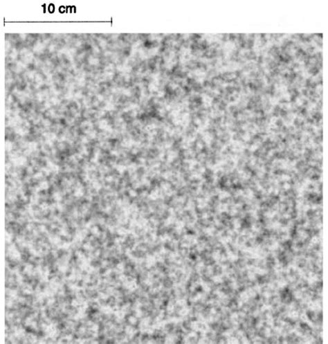 snapshots of the rock frame particle velocity component v z at 37 ␮ s