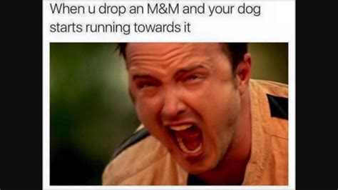 Lol R Memes