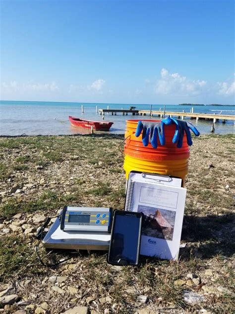 Sampling Programs Mer Consultants