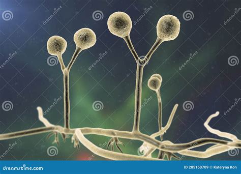Illustration Of Filamentous M13 Phage Virus Structure Royalty Free