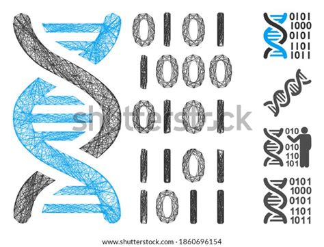 Vector Wire Frame Dna Binary Code Stock Vector Royalty Free 1860696154 Shutterstock