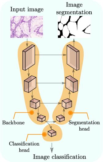 Deep Active Learning For Joint Classification And Segmentation With Weak