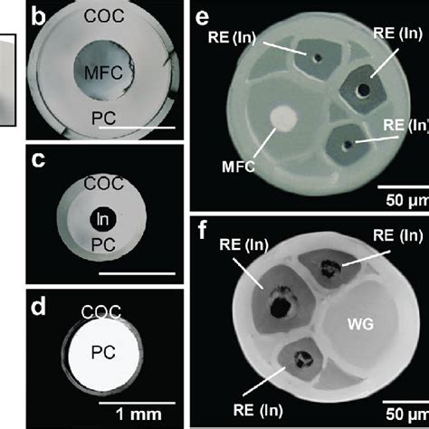 Multifunctional Neural Probe Fabrication Through The Two Step Thermal
