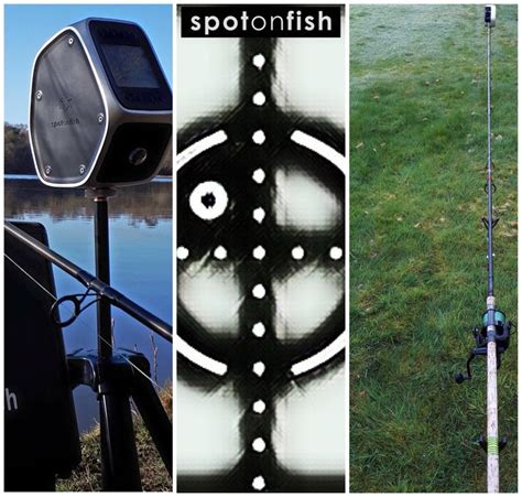 Different Types Of Fishing Rods