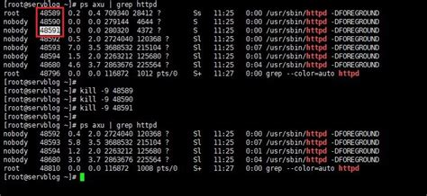 리눅스 Kill 명령어 프로세스 강제종료 주 서브이즈