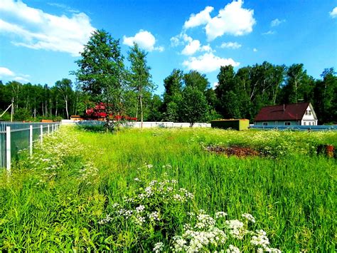 Земли сельхозназначения Московская область Богородский городской округ СНТ Жемчуг агентство