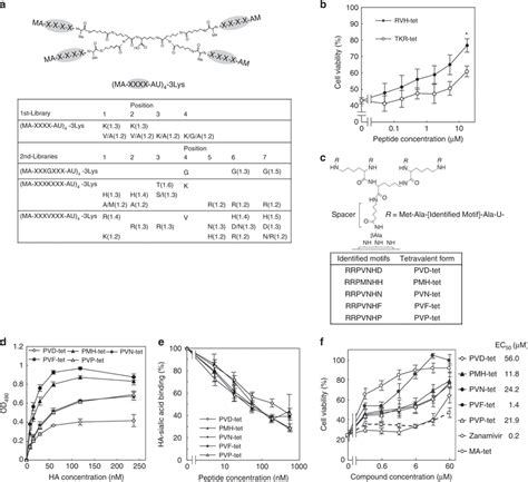 Multivalent Peptide Library Screen Identified Peptide Based Ha Download Scientific Diagram