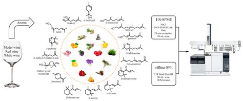 Molecules Free Full Text Comparison Of An Offline Spegcms And Online Hsspmegcms Method