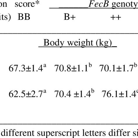 Afec Assaf Ewe With A Litter Of Six Lambs Born With Average Birth