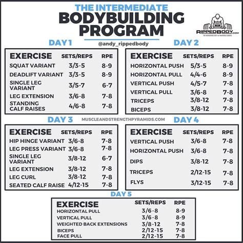 Healthy for Life: bodybuilding beginner program Bodybuilding program, bodybuilding workout plan ...