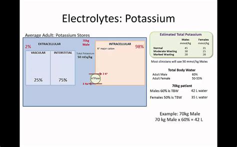 Electrolytes Potassium Youtube