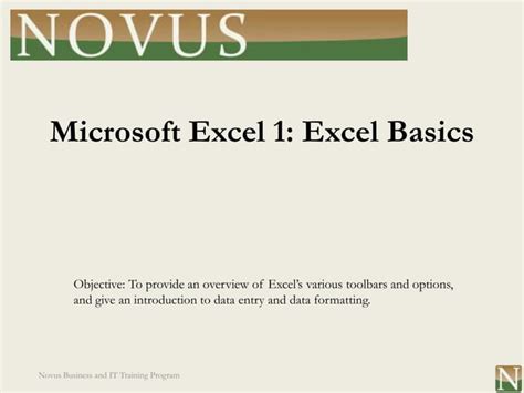 excel lesson 1 excel basics pptx