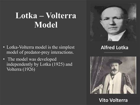 Lotka Volterra Model Pptx