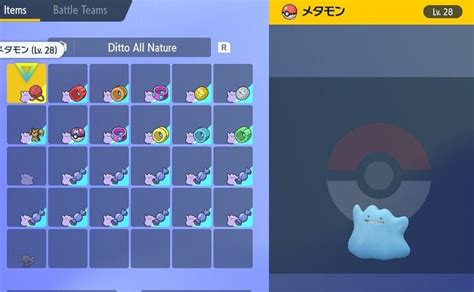 Shiny Ditto Pokemon