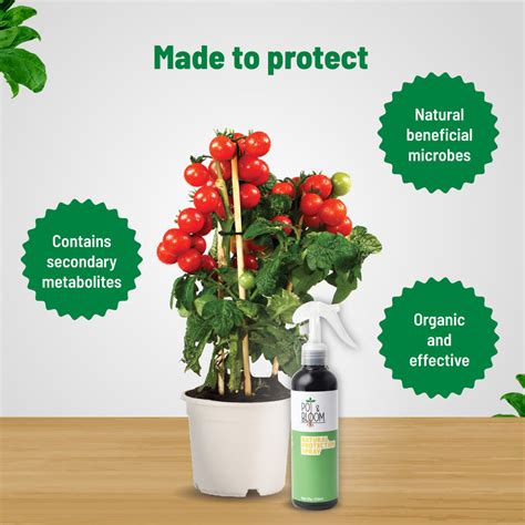 Buy Nutrition Protection Mealy Bug Spray Combo 500ml At Best