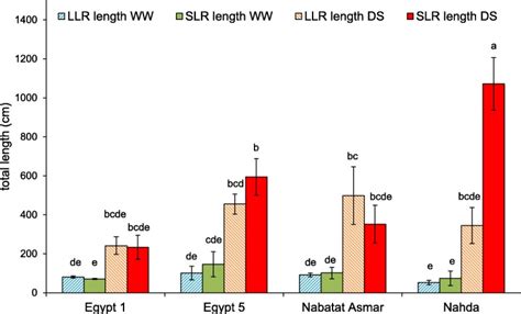 Progressive Drought Alters Architectural And Anatomical Traits Of Rice Roots Abstract