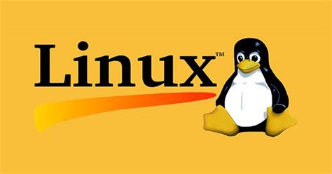 Become A Linux Mastermind For 20 With This Expert Led Training