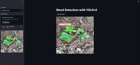 Github Zakariaelidrissi Weeddetection
