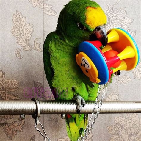 Купить попугай жевать pet птица укусы качели попугай cockatiel клетке ...