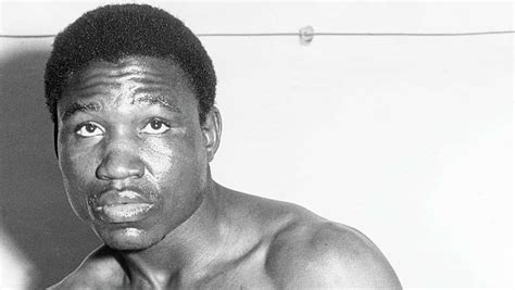 100 Snopp Tiger Wallpaper