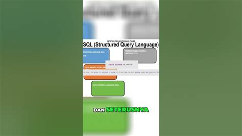 Membuat Database Sekolah Panduan Lengkap Grid Shorts Sql Mysql Dbms Ddl Dml Dcl Tcl
