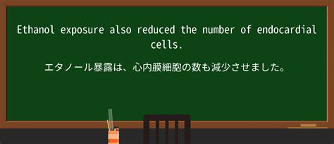【英単語】endocardialを徹底解説！意味、使い方、例文、読み方 おもしろい英文法