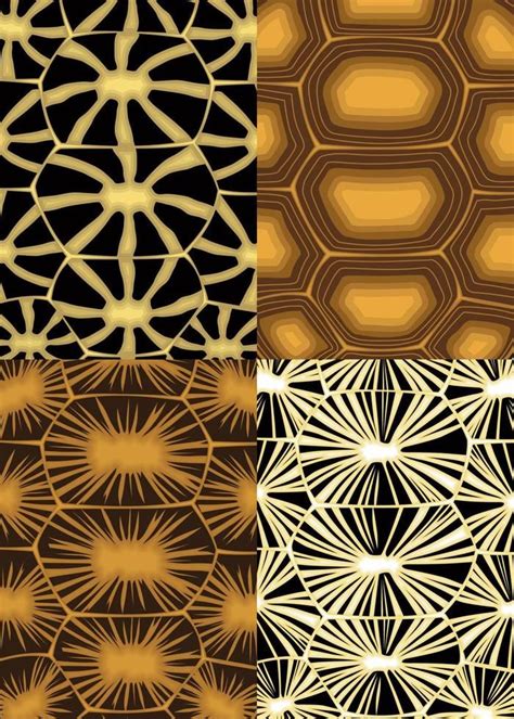 Vector Illustration Set Of Tortoise Shell Patterns