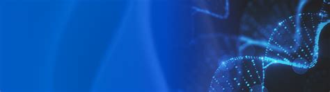 Application Of Liquid Chromatography Fluorescence Lc Fl Detection Methods For Dmpk