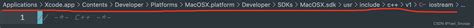 在macos中的vs Code下添加 Bitsstdch 万能头文件mac下vscode万能头文件 Csdn博客
