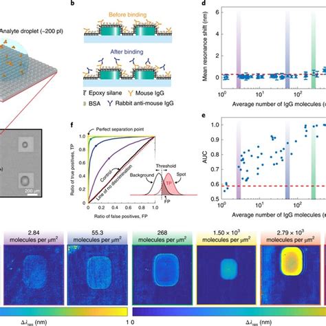 Geometrically Tunable High Q Dielectric Metasurfaces Based On Quasi Bic Download Scientific