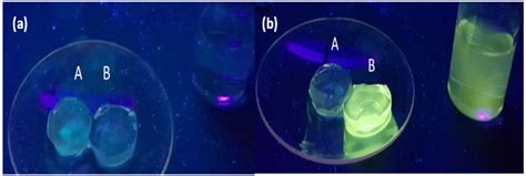 Fluorescent Molecular Logic Gates And Pourbaix Sensors In