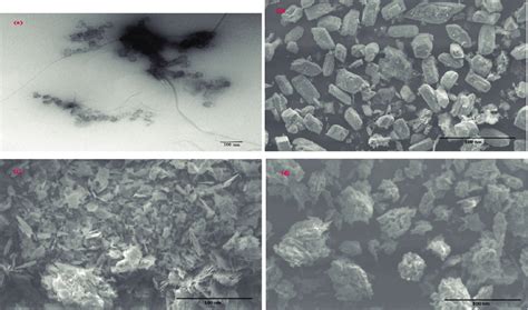 TEM Image Of Nano HAP A SEM Images Of Nano HAP B Nano HAP F C Download Scientific