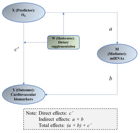 Non Coding Rna An Open Access Journal From Mdpi
