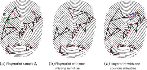 Effect Of Missingspurious Minutiae Download Scientific Diagram