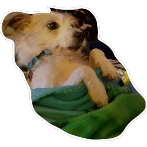 Sticker Maker Bella
