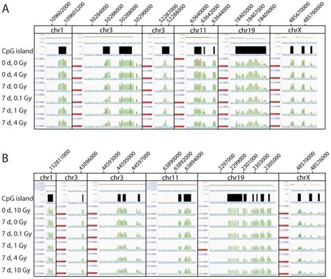 The Figure Shows Several Randomly Selected Signalmap Snapshots Of The
