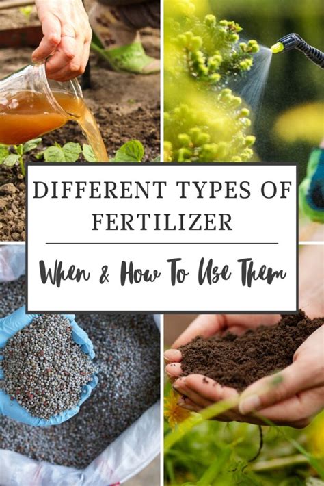 Different Types Of Fertilizer When And How To Use Them