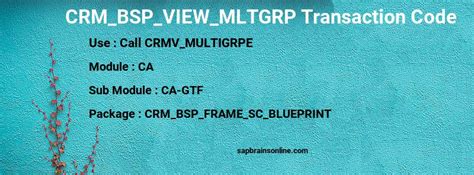 Crmbspviewmltgrp Sap Tcode For Call Crmvmultigrpe