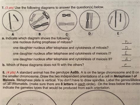 Solved 7 3 Pts Use The Following Diagrams To Answer The