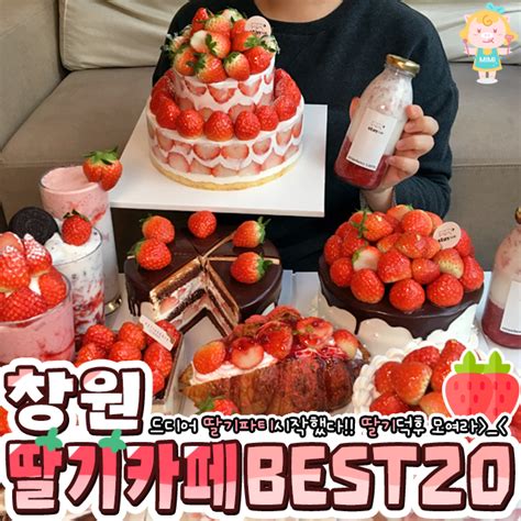 창원여행 🍓딸기딸기하다고 소문난 창원딸기카페 모아봄🍓 딸기덕후 소리벗고 팬티질러~