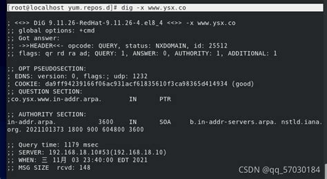 linux centos 8 dns服务器配置 centos8 dns csdn博客
