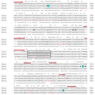 Sequence Alignment Of The Proteins Used In This Study The Alignment Download Scientific