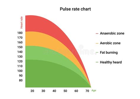 Heart Rate Chart Heartbeat Risk Diagram With Infographics Rating Stock