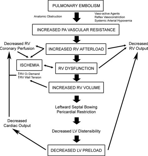 Pathophysiologic Cycle Of Major Pe 45 Download Scientific Diagram