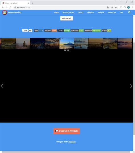Images Not Shown When Number Of Images Get Larger Issue MurhafSousli Ngx Gallery GitHub