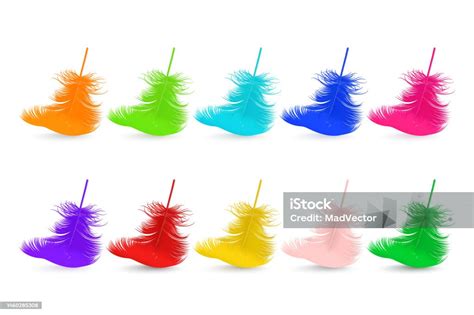 벡터 3d 현실적인 여러 가지 빛깔의 푹신한 깃털은 흰색 배경에 격리되어 있습니다 플라밍고 천사 새의 디자인 템플릿은 깃털을 자세히 설명합니다 가벼움 자유 개념 3차원