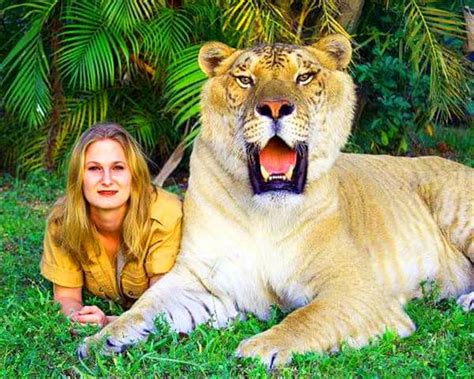 The Liger