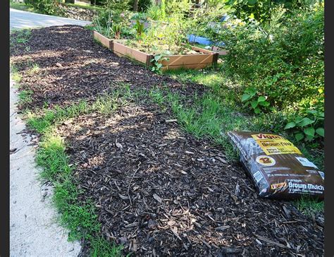 Mulch Ado About Nothing The Pros And Cons Of Mulching Raking Leaves