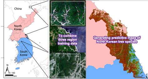 Remote Sensing Free Full Text Machine Learning For Tree Species Classification Using